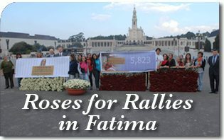 Roses for Rallies in Fatima - The American TFP