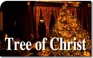 The Tree of Christ - The American TFP