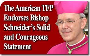 Communiqué: The American TFP Endorses Bishop Athanasius Schneider’s ...