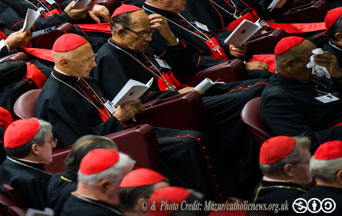 These Are the Destructive Goals of the Pan-Amazon Synod | TFP