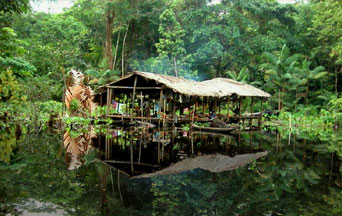 The Church at the Service of the Neo-Pagan Agenda - The American TFP