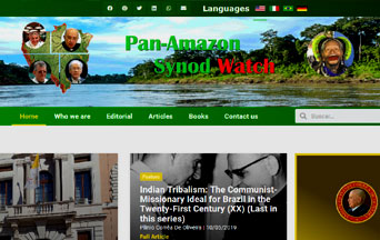 What Liberals Got Wrong About the Pan-Amazon Synod Watch Web Site | TFP
