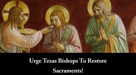 Urgent, Sign Here NOW—Implore the Bishops of Texas to Reopen Churches ...