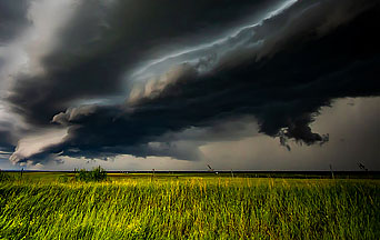 What Will You Remember About the Spring of 2020? - The American TFP