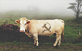 How “Animals Rights” Activists Turn Animals into Socialists - The ...