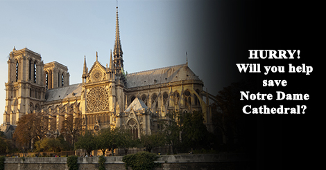 Tell French President Macron NOT to Disfigure Notre Dame - The American TFP