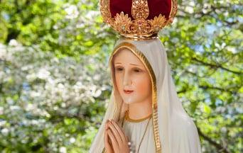 How Our Lady Appeared to the Three Fatima Seers - The American TFP