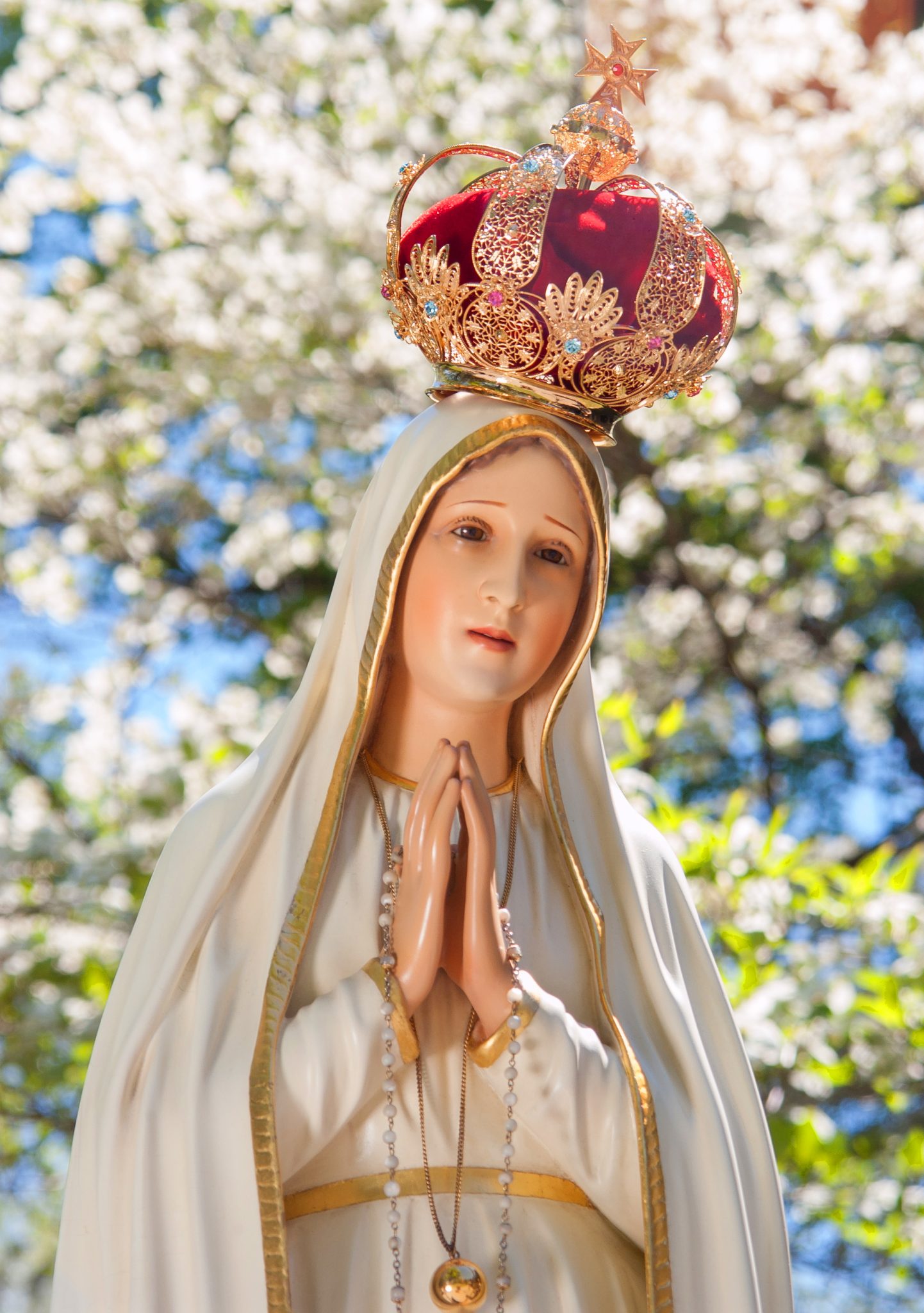 Novena to Our Lady of the Rosary – Day 2 - The American TFP