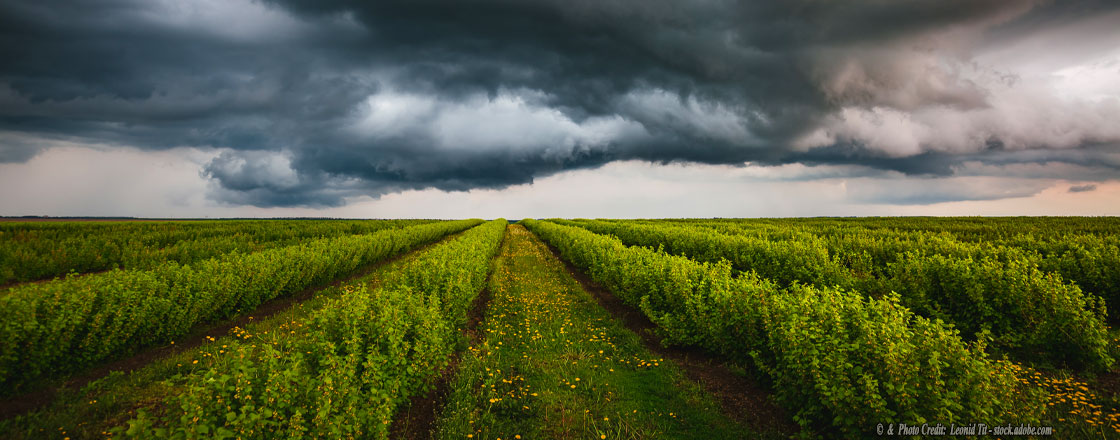 Nobel Prize Winning Physicist Cancelled But the Number of Climate ...